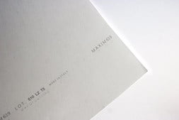 Celastic material in Shoemaking