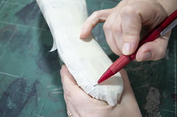 Sockliner In A Shoe – The Ultimate Guide