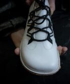 Barefoot Shoes Online Course